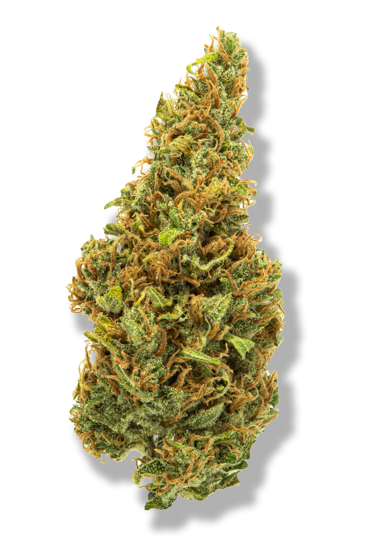 nuEra East Peoria Cannabis Dispensary - Order Online Today